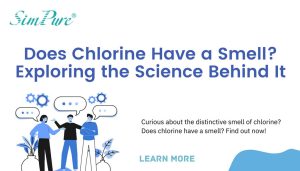 Unveiling The Mystery: Why Does Chlorine Smell - Fury Things