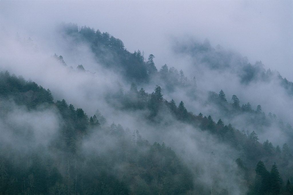 Exploring The Mystery: Why Is The Appalachian Mountains Scary - Fury Things